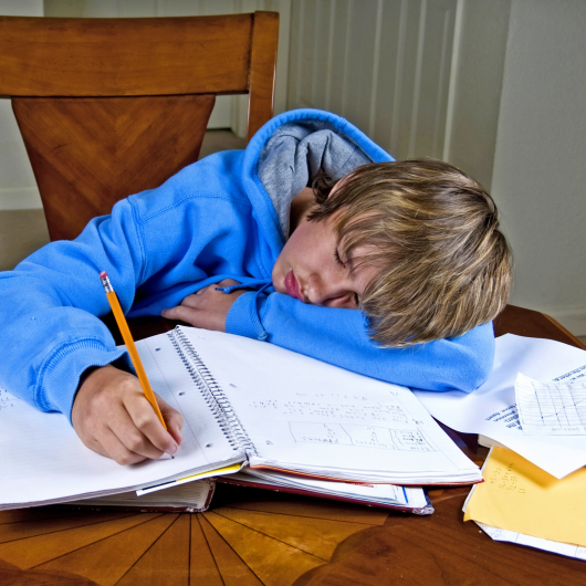 5 Ways to Get Your Child Organized for School | Vibrant Mom Society